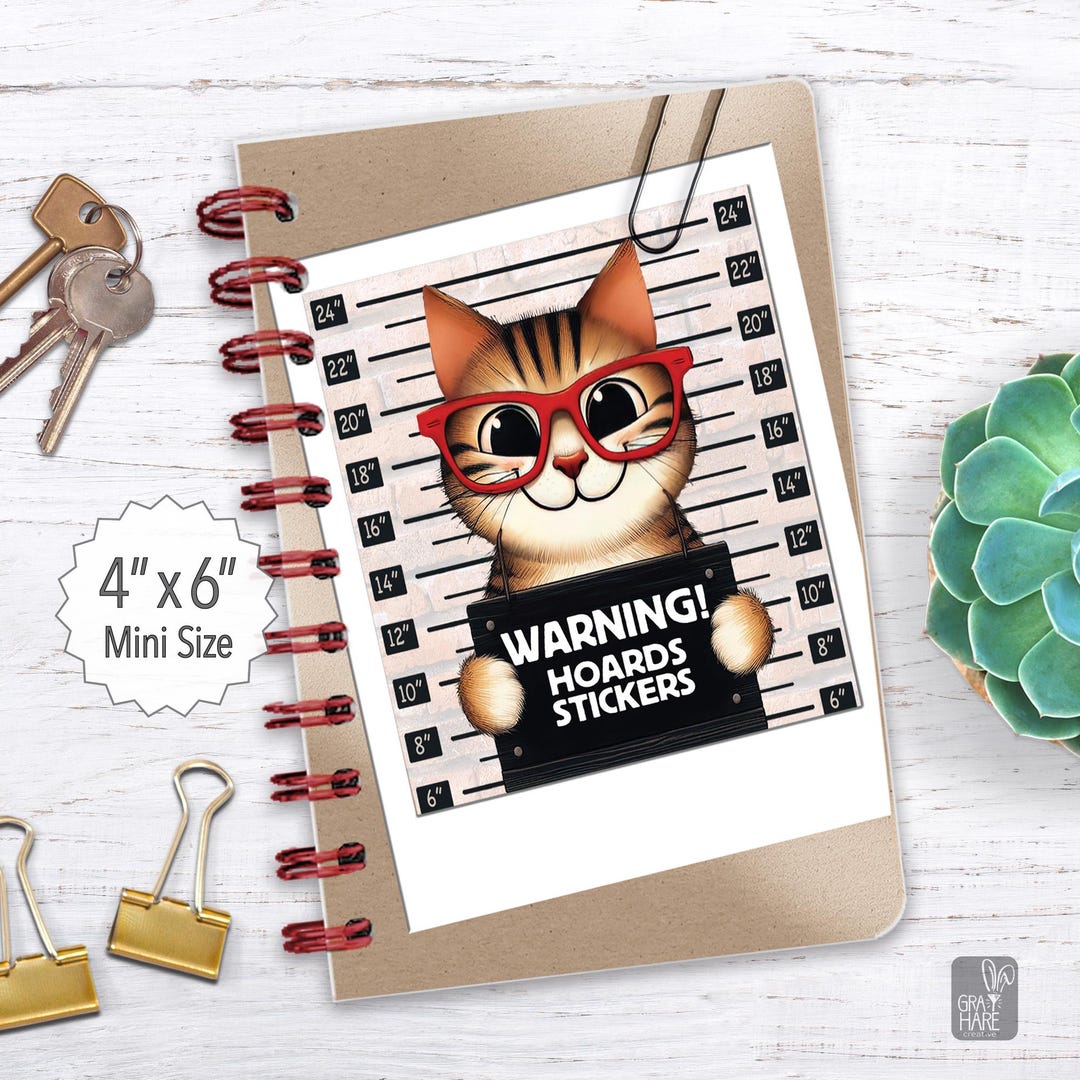 Mini Sticker Book: Cat Hoarder Cover, Reusable Album (4x6) - Etsy