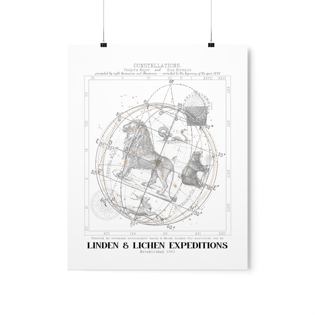 Constellations Map Astronomy Premium Matte Vertical Posters - Etsy
