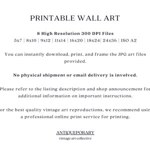 Victorian Animals Portrait, Royal Raccoon Art Print, Renaissance Animal ...