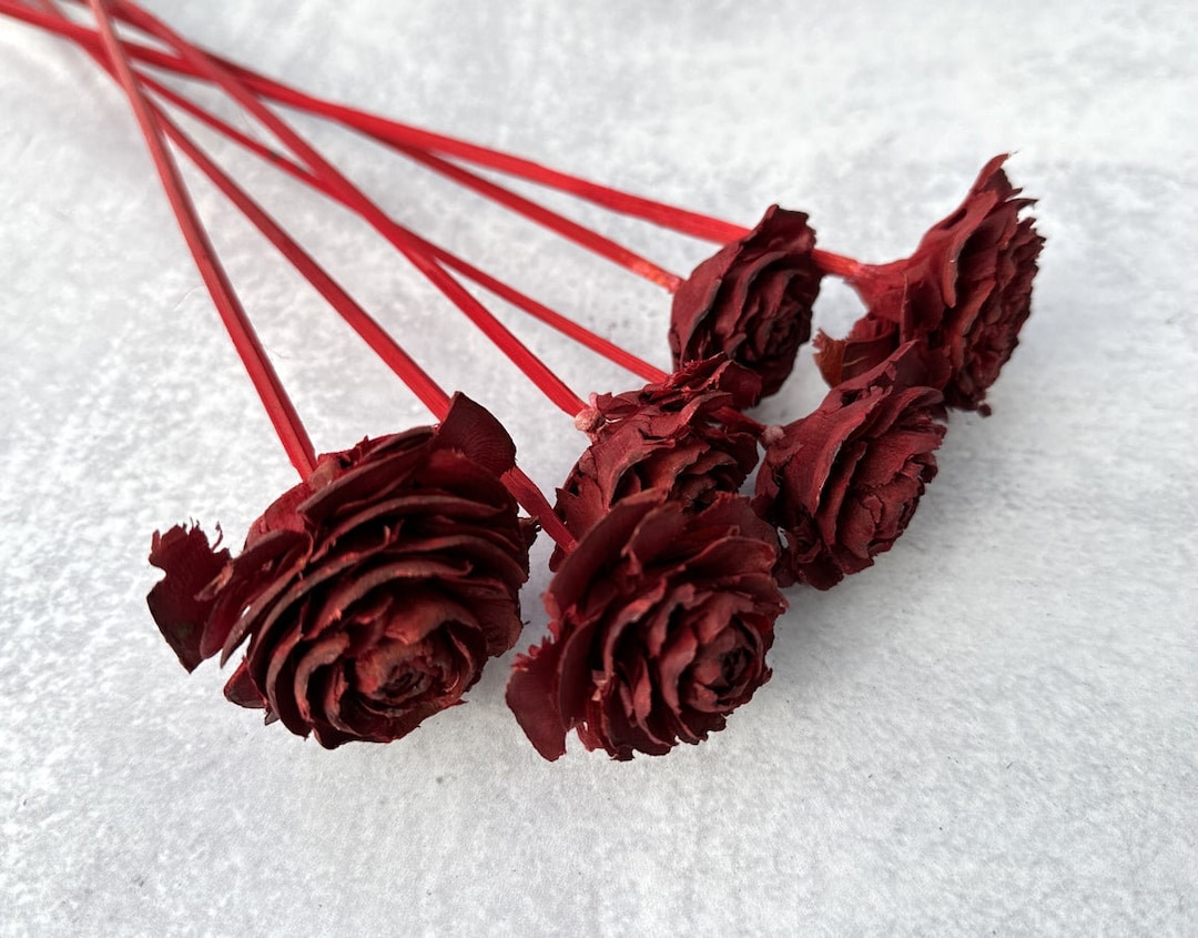 Cedar Rose Red - 6 Stems - Etsy