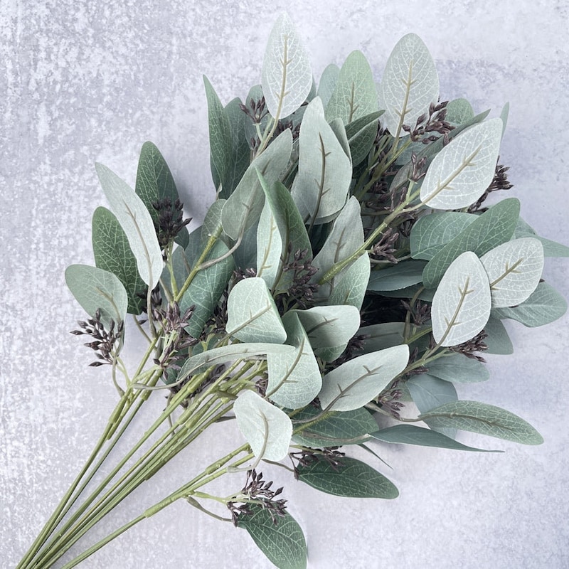 Seeded Eucalyptus - Etsy
