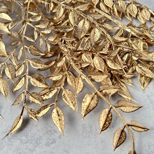 Ruscus Bush - Metallic Gold - Etsy