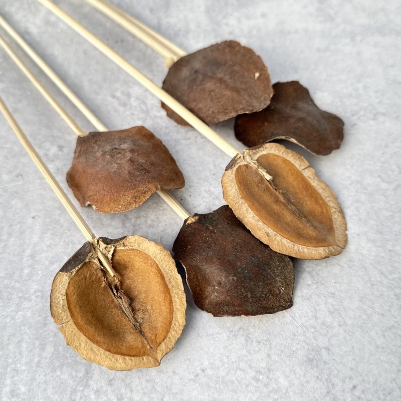 Jacaranda Wood - Etsy