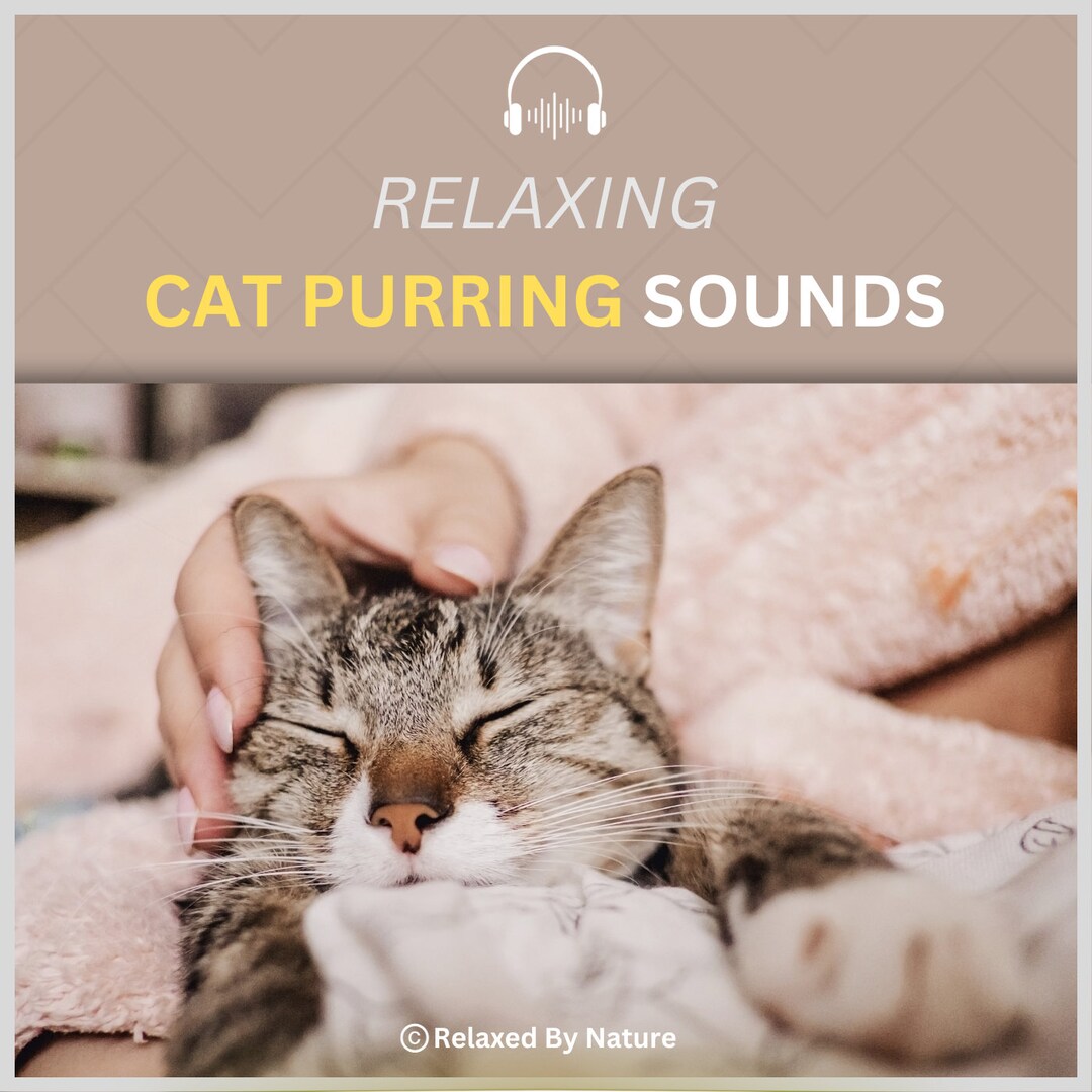 Cat Purring Sounds for Relaxation & Sleeping - 4 Hour Audio for Stress Relief (audio Download ...