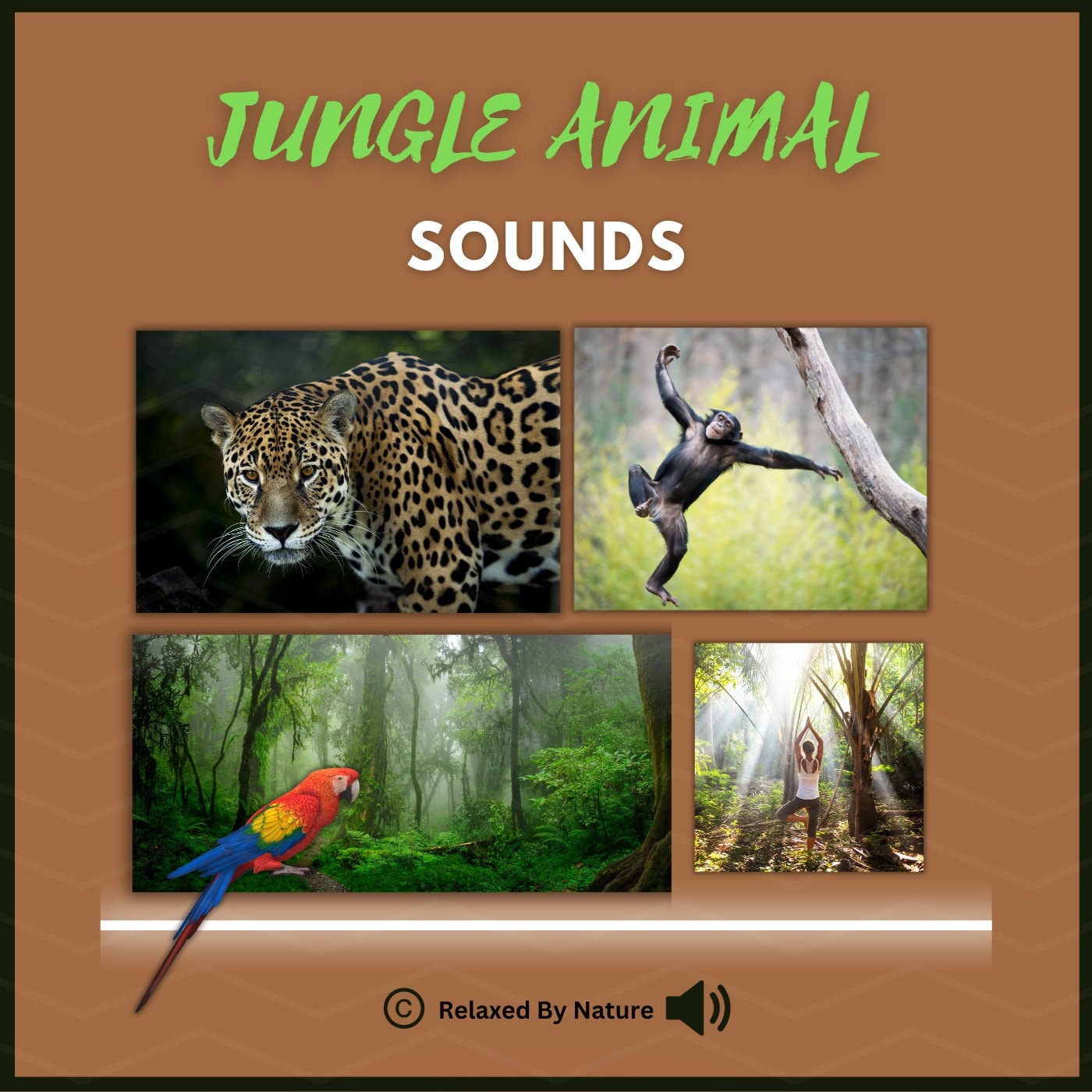 Jungle Animal Sounds - (4 Hour Audio) Soothing Nature Audio Sounds - Etsy