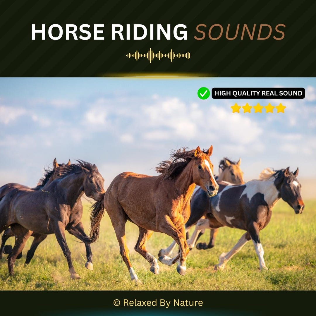 6-hour Horse Riding Sounds Audio Download | Relaxing Horse Galloping ...