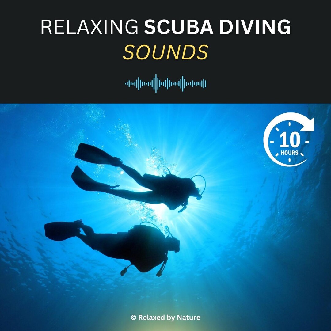 10-hour Scuba Diving Sounds – Relaxing Underwater Sounds & Ocean ...