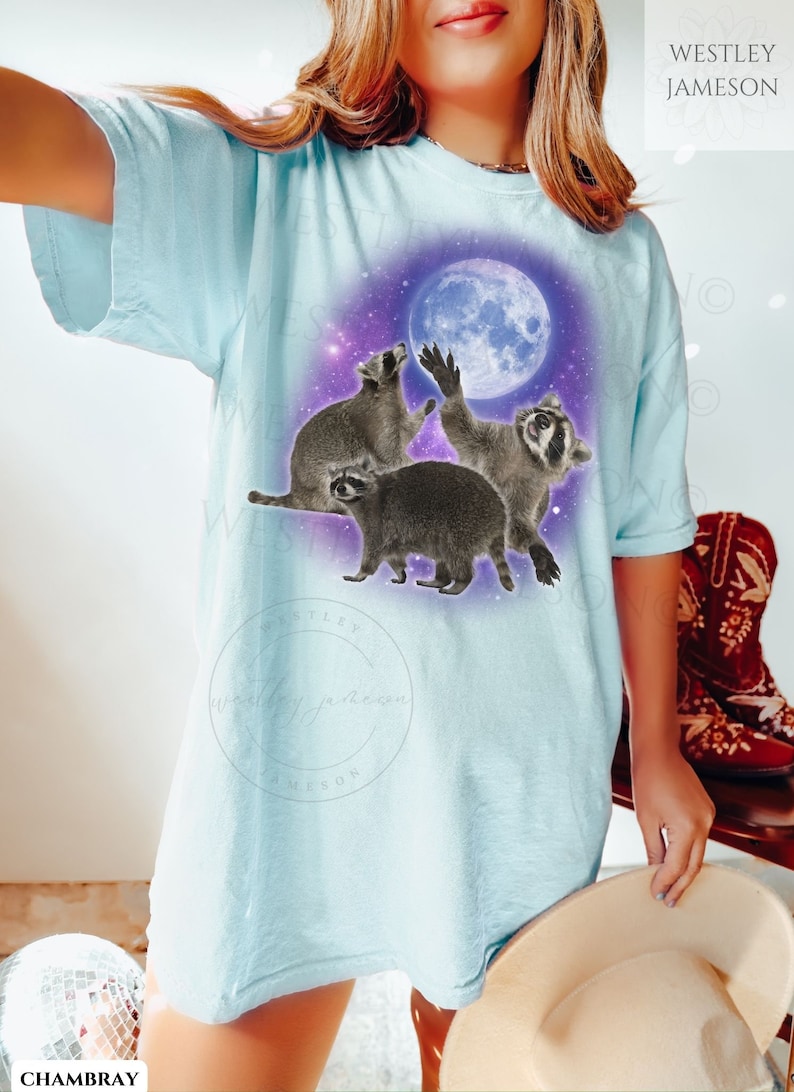 Three Raccoons Vintage Graphic T-shirts, Space Trash Panda, Retro ...