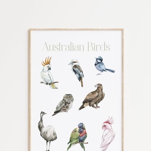 Printable Australian Birds Digital Art | Digital Animal Prints | Early ...