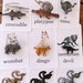 Printable Australia Animal Cards | Wild Republic Matching Cards ...