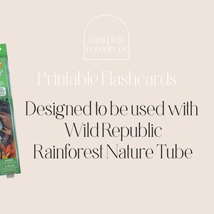 Printable Rainforest Animal Cards | Wild Republic Matching Cards ...