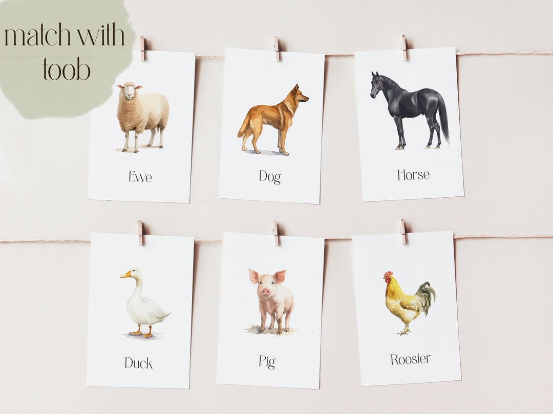 Printable Farm Animal Toob Cards| Toob Matching Cards | Montessori ...