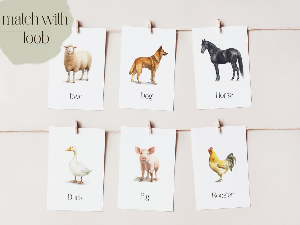 Printable Farm Animal Toob Cards| Toob Matching Cards | Montessori ...