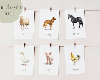 Printable Fruit & Vegetable Toob Cards | Toob Matching Cards ...