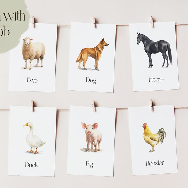 Montessori Matching Animal Cards - Etsy