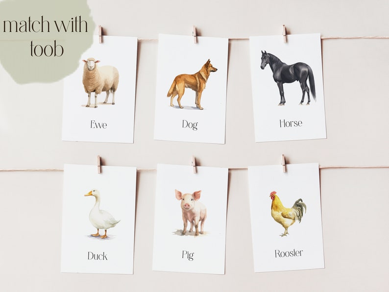 Printable Farm Animal Toob Cards| Toob Matching Cards | Montessori ...