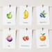 Printable Fruit Card Set | Digital Fruit Prints | Montessori Cards ...