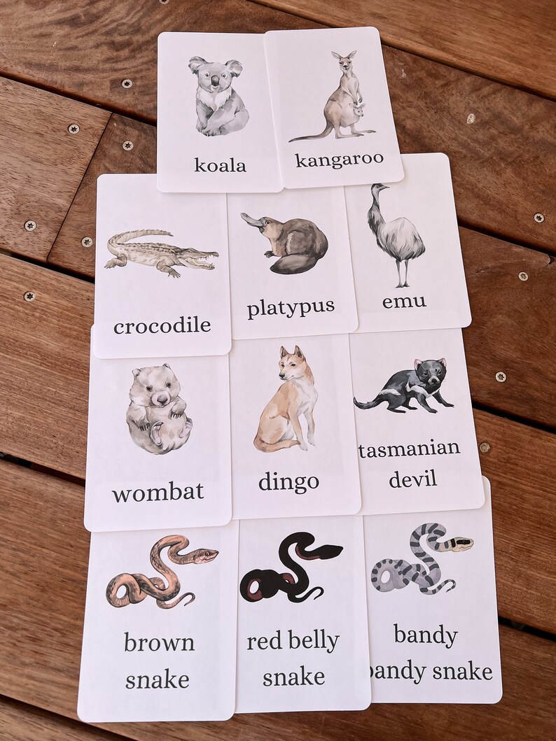 Printable Australia Animal Cards | Wild Republic Matching Cards ...