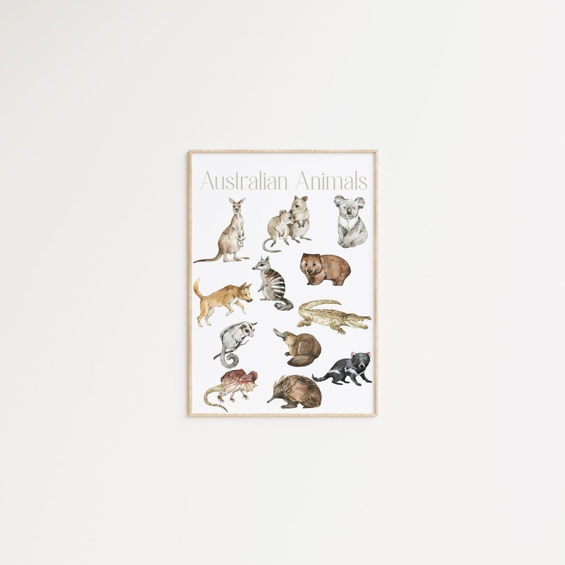 Printable Australian Animals Digital Art | Digital Animal Prints ...
