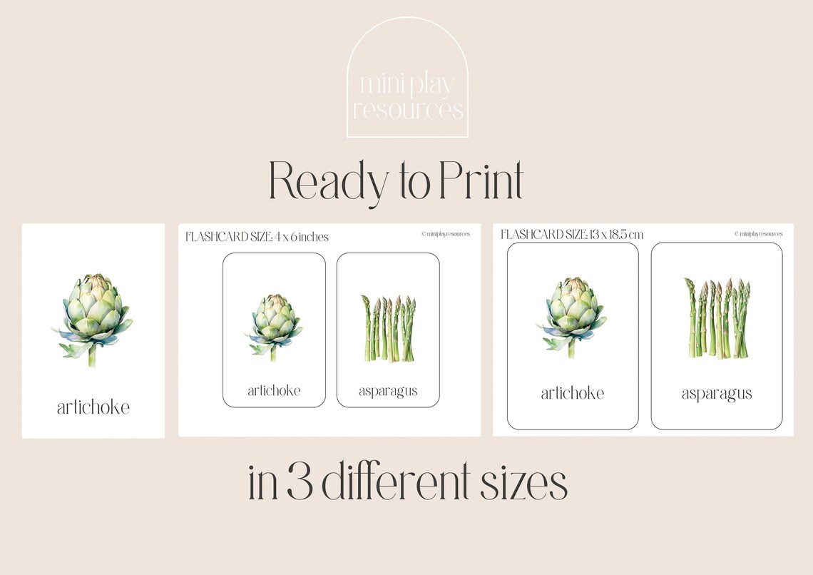 Printable Vegetable Card Set | Digital Vegetable Prints | Montessori ...
