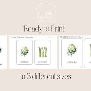 Printable Vegetable Card Set | Digital Vegetable Prints | Montessori ...