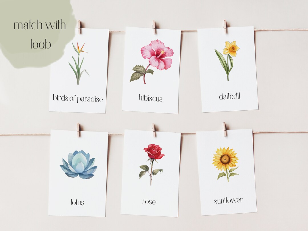 Printable Flower Toob Cards | Toob Matching Cards | Montessori Cards ...