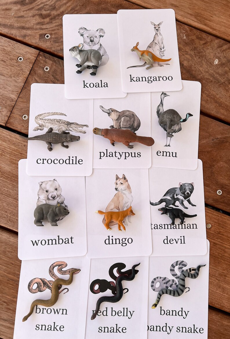 Printable Australia Animal Cards | Wild Republic Matching Cards ...