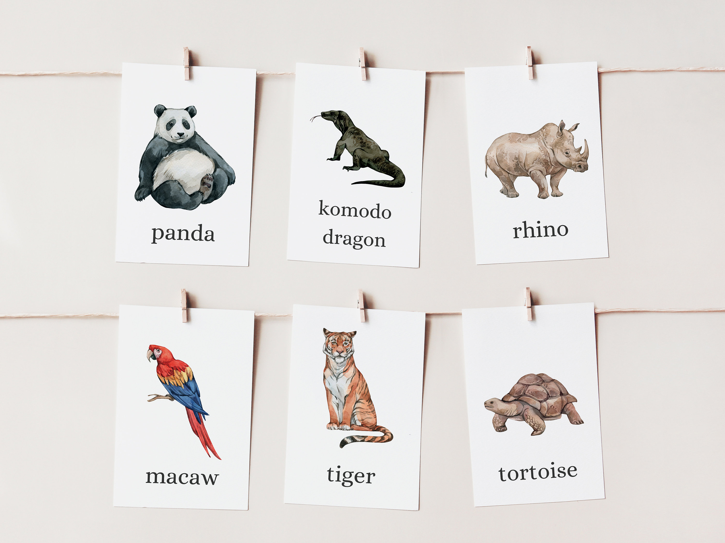 Printable Endangered Animal Cards Wild Republic Matching Cards ...