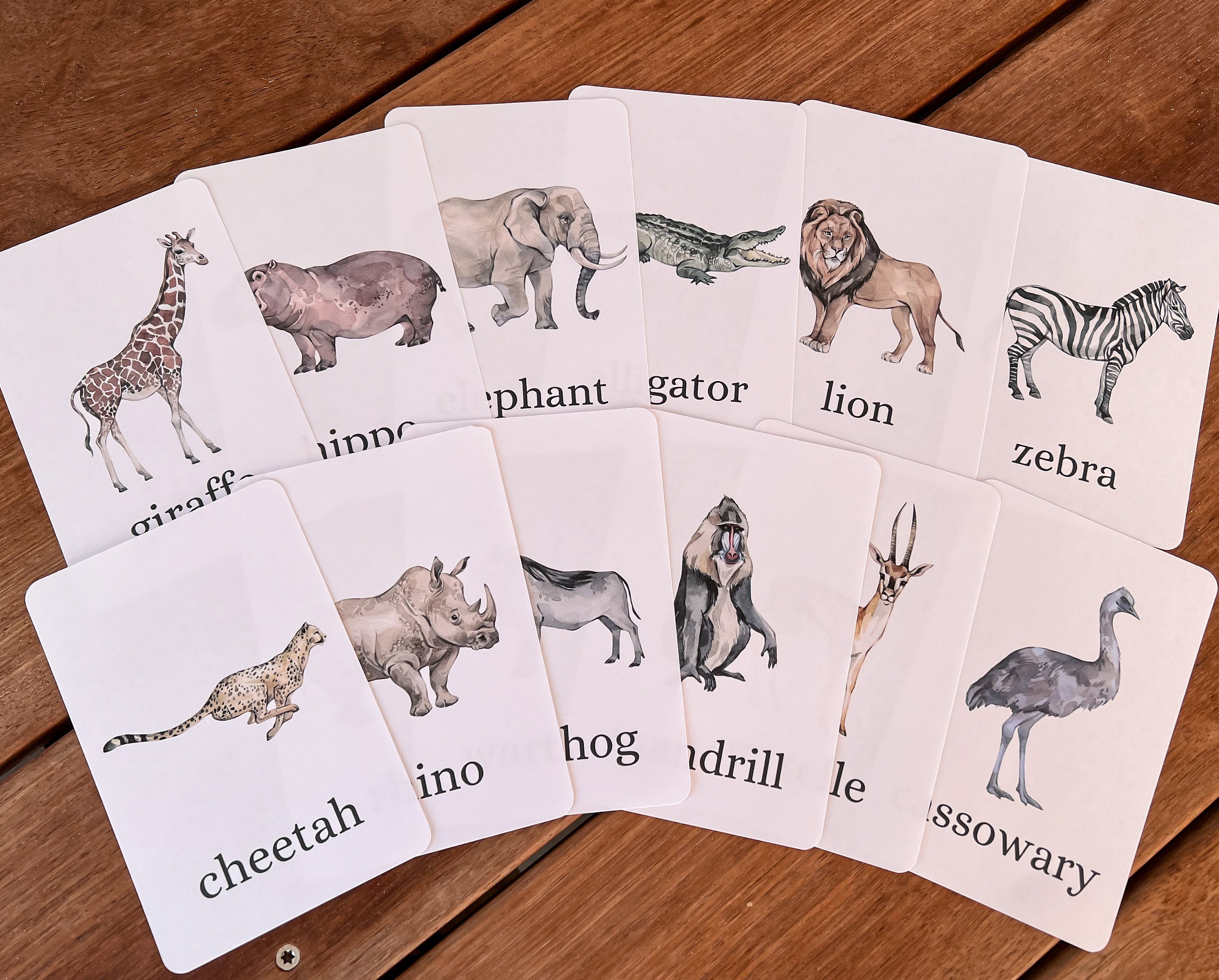 Printable African Animal Cards Wild Republic Matching Cards Montessori ...