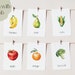 Printable Fruit & Vegetable Toob Cards | Toob Matching Cards ...