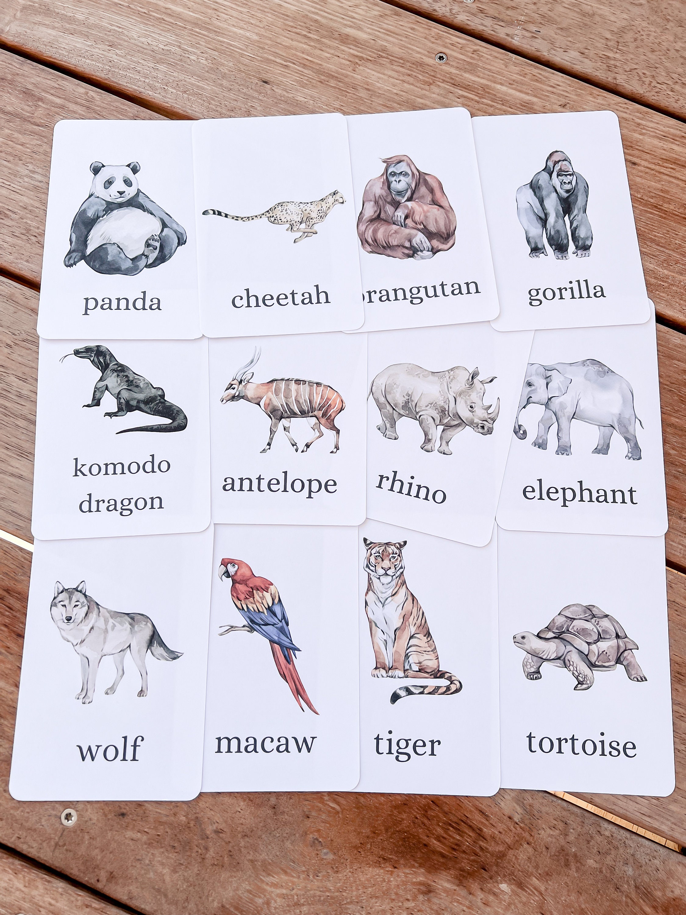 Printable Endangered Animal Cards | Wild Republic Matching Cards ...