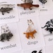 Printable Australia Animal Cards | Wild Republic Matching Cards ...