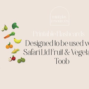 Printable Fruit & Vegetable Toob Cards | Toob Matching Cards ...