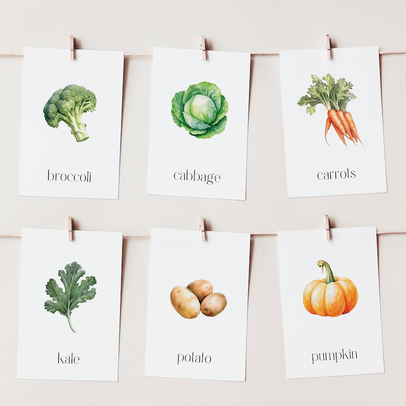Vegetable Cards - Etsy
