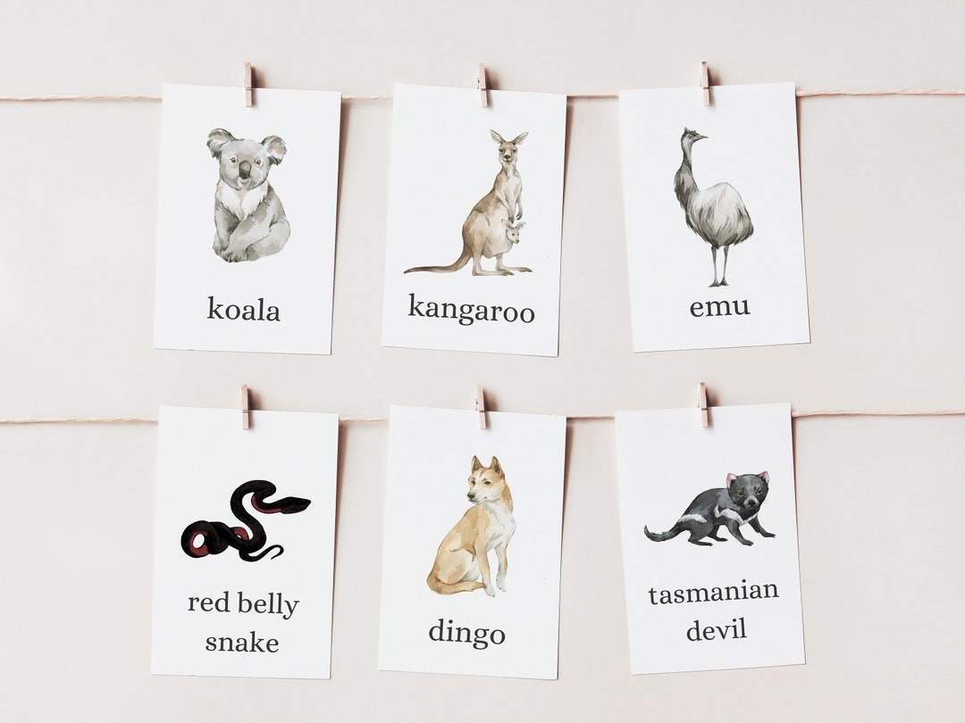 Printable Australia Animal Cards | Wild Republic Matching Cards ...