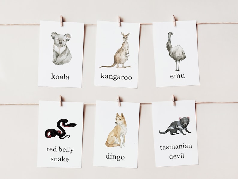 Printable Australia Animal Cards | Wild Republic Matching Cards ...