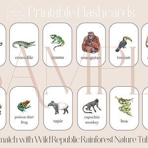 Printable Rainforest Animal Cards | Wild Republic Matching Cards ...