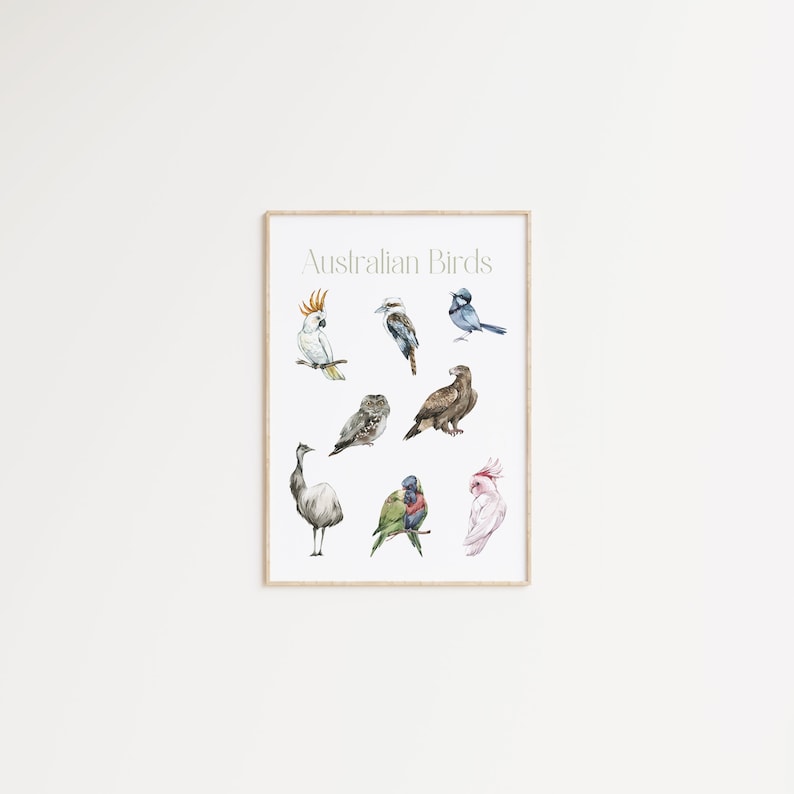 Printable Australian Birds Digital Art | Digital Animal Prints | Early ...