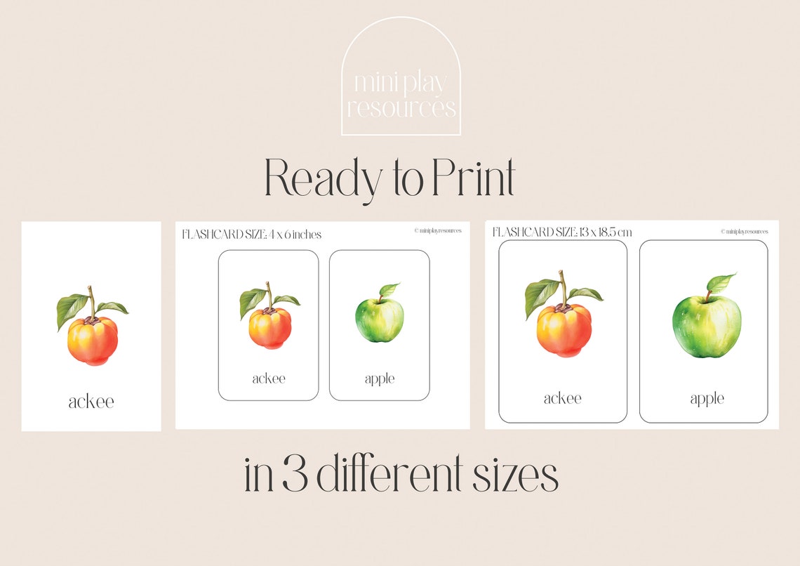 Printable Fruit Card Set | Digital Fruit Prints | Montessori Cards ...