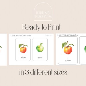 Printable Fruit Card Set | Digital Fruit Prints | Montessori Cards ...