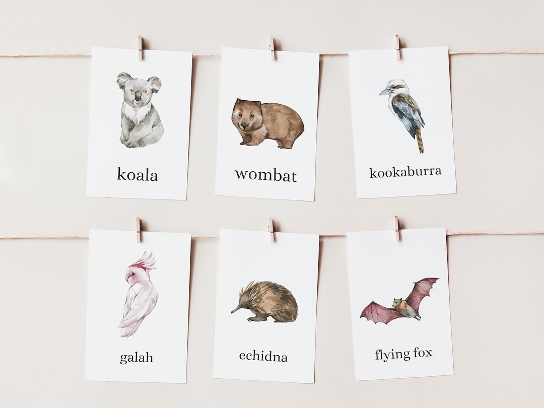 Printable Australian Animal Card Set Digital Animal Prints Montessori ...