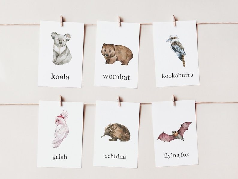 Printable Australian Animal Card Set | Digital Animal Prints ...