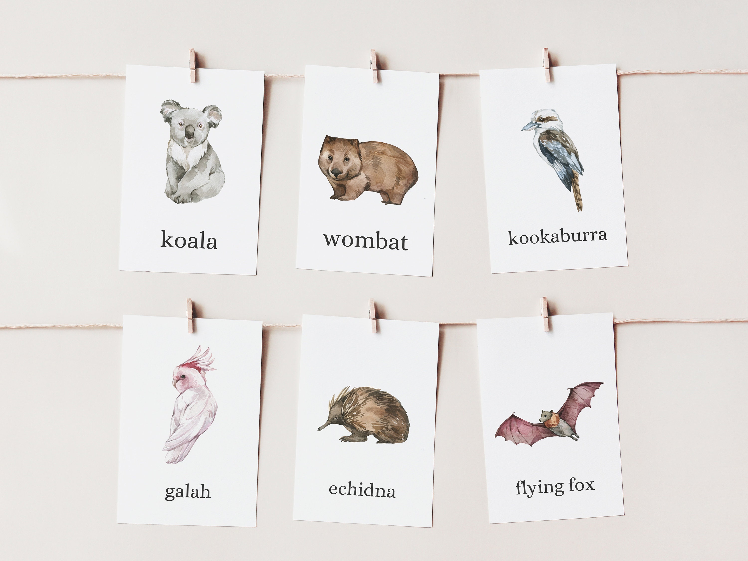 Printable Australian Animal Card Set | Digital Animal Prints ...