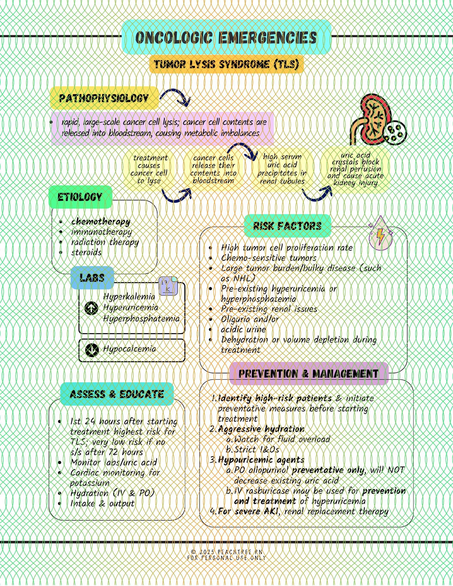 Oncologic Emergencies Quick Reference Guide PDF 15 Pages Oncology Nurse ...
