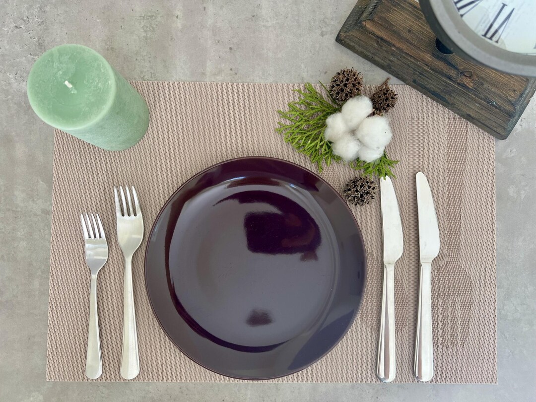 Beige Plastic Place Mat Sets: Heat-resistant Kitchen Table Decor (12 X ...