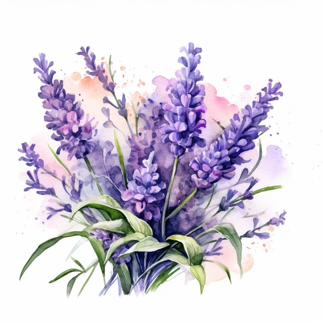 10 Lavender Clipart in JPG Digital Download - Ideal for Mixed Media ...