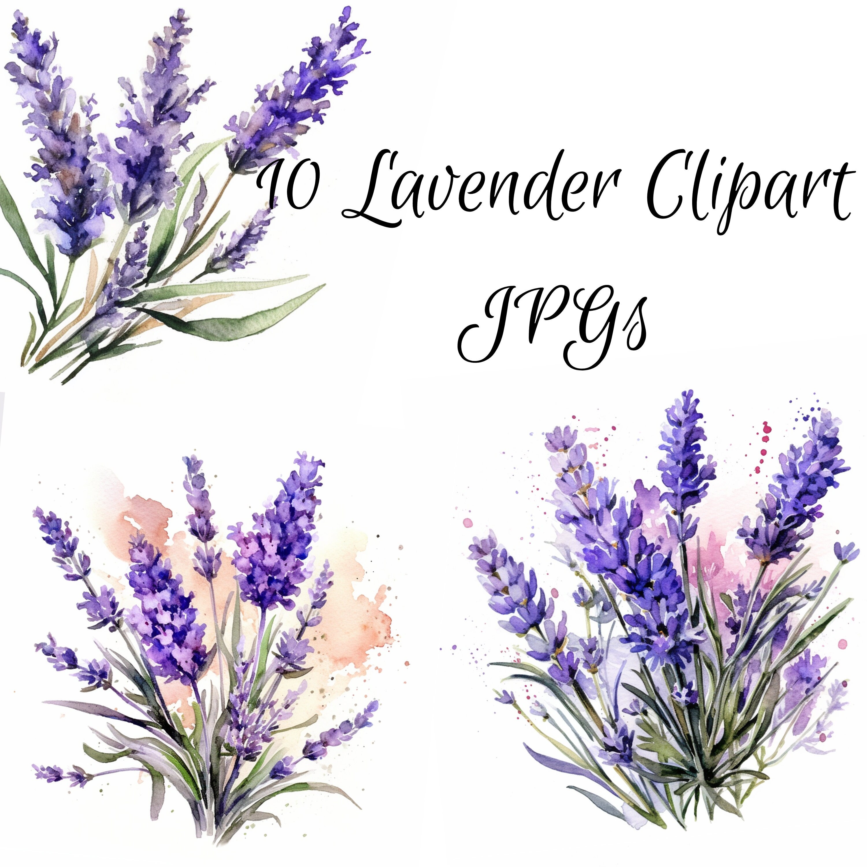10 Lavender Clipart in JPG Digital Download - Ideal for Mixed Media ...