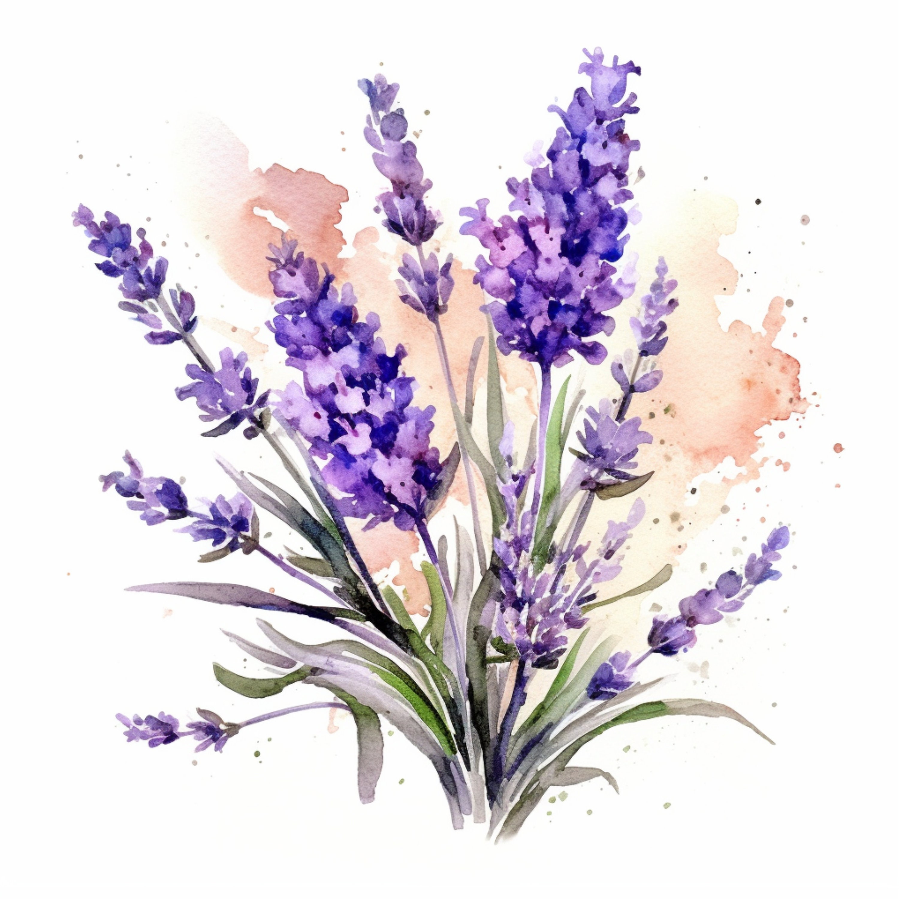 10 Lavender Clipart in JPG Digital Download - Ideal for Mixed Media ...