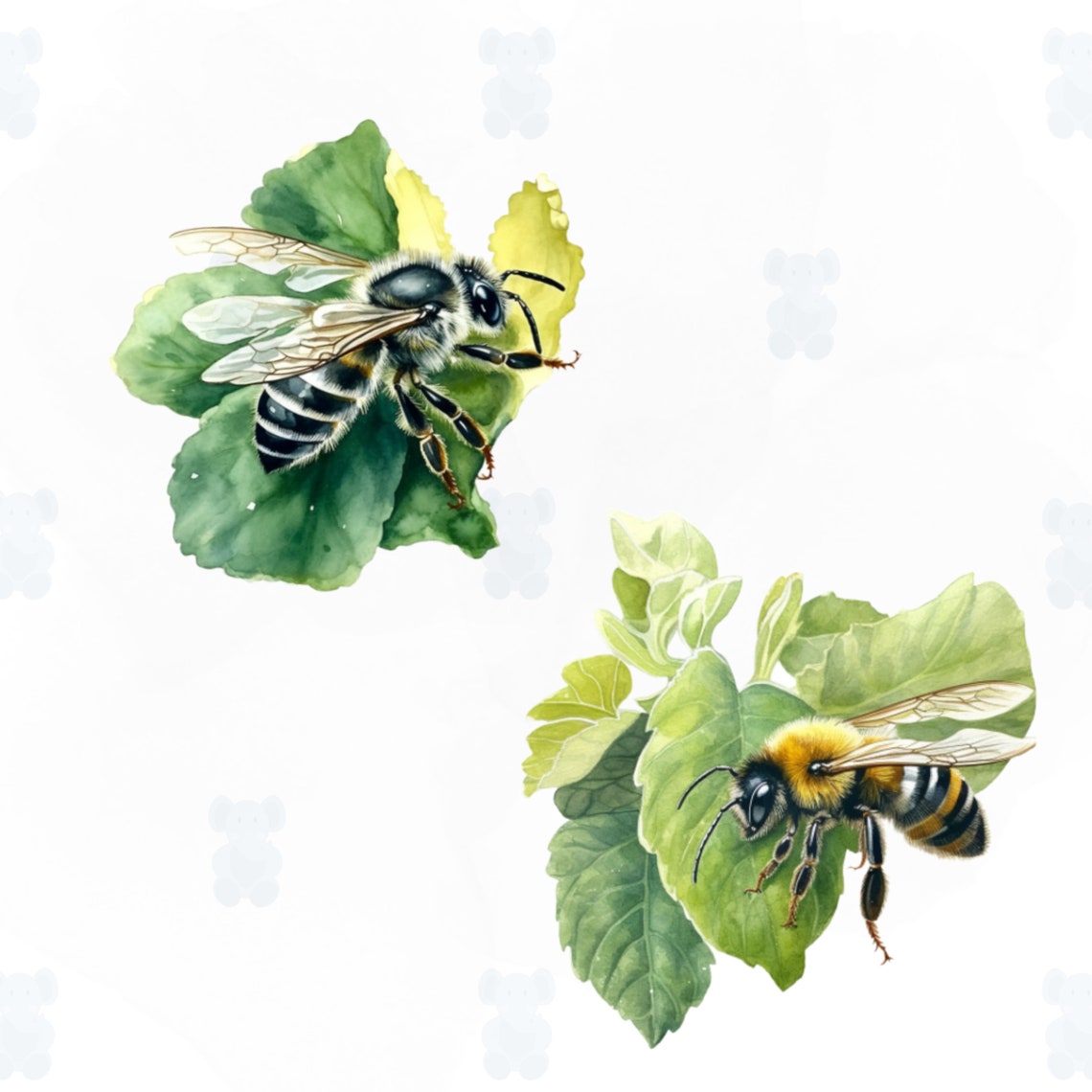 Watercolor Bee Clipart Instant Download PNG Format Bee Clipart for ...