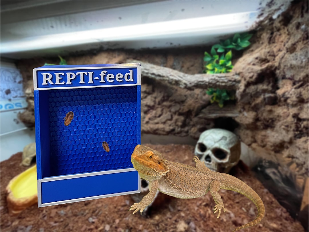 Repti-feed, Reptile Feeder, Customizable / Personalized, WITH NAMES ...